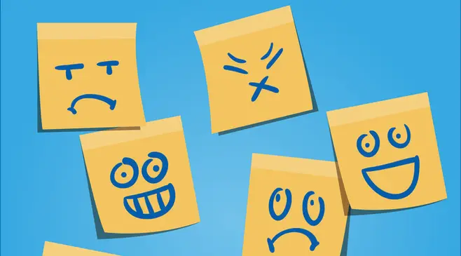 Perbedaan Jenis Karakter Sanguinis, Melankolis, Plegmatis, dan Koleris ...