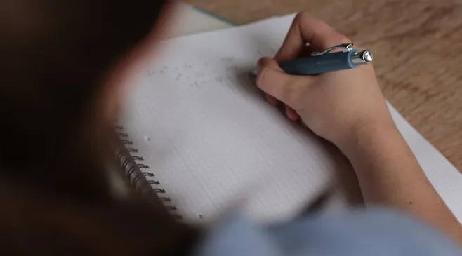 10 Contoh Majas Sinisme Beserta Contoh & Penjelasannya | Narasi TV